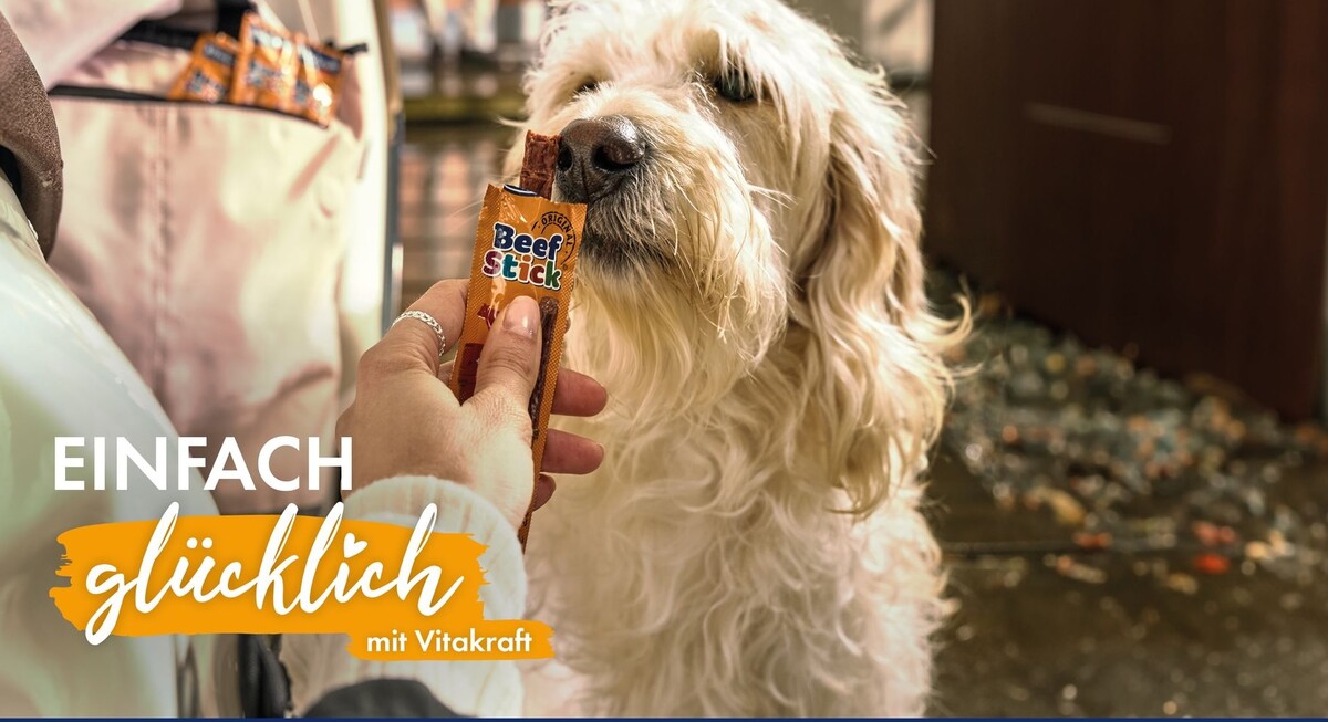 Auszeichnung: Vitakraft-Kampagne gewinnt German Design Award 2025 | ZZA ...