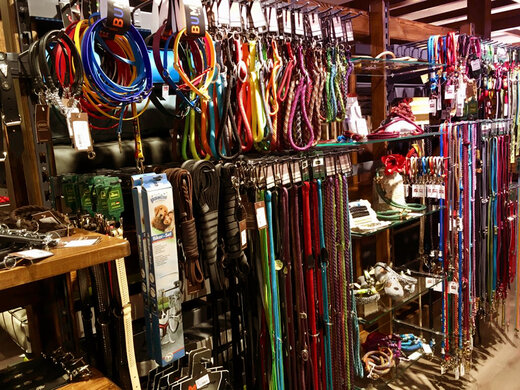 Dogstyler__Neuer Markt in Salzburg