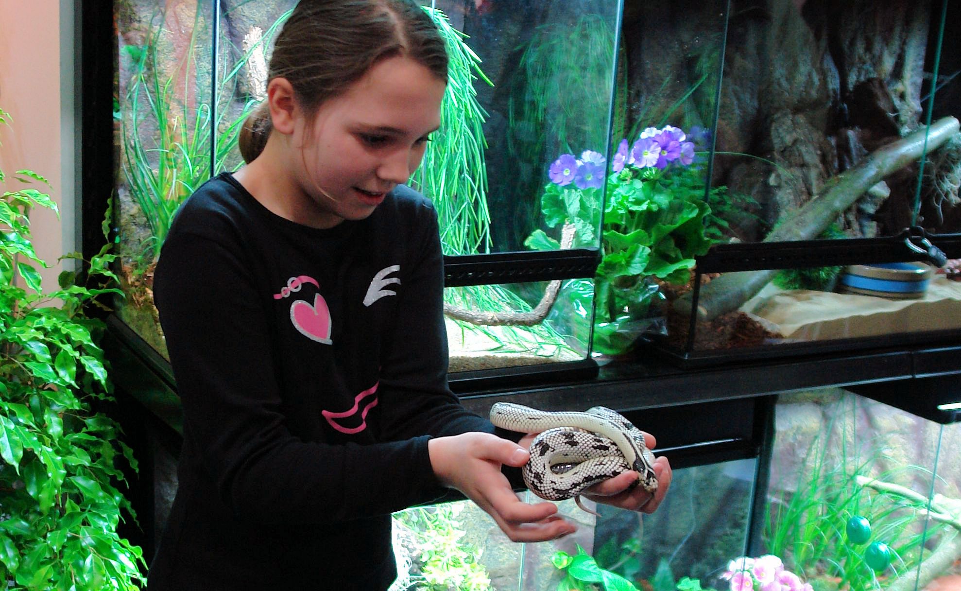 Schulung für Tierhalter__Sachkunde nach §2 TschG