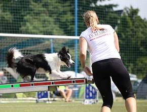 Ernährung__Tackenberg sponsert Agility-Weltmeisterin Anne Lenz