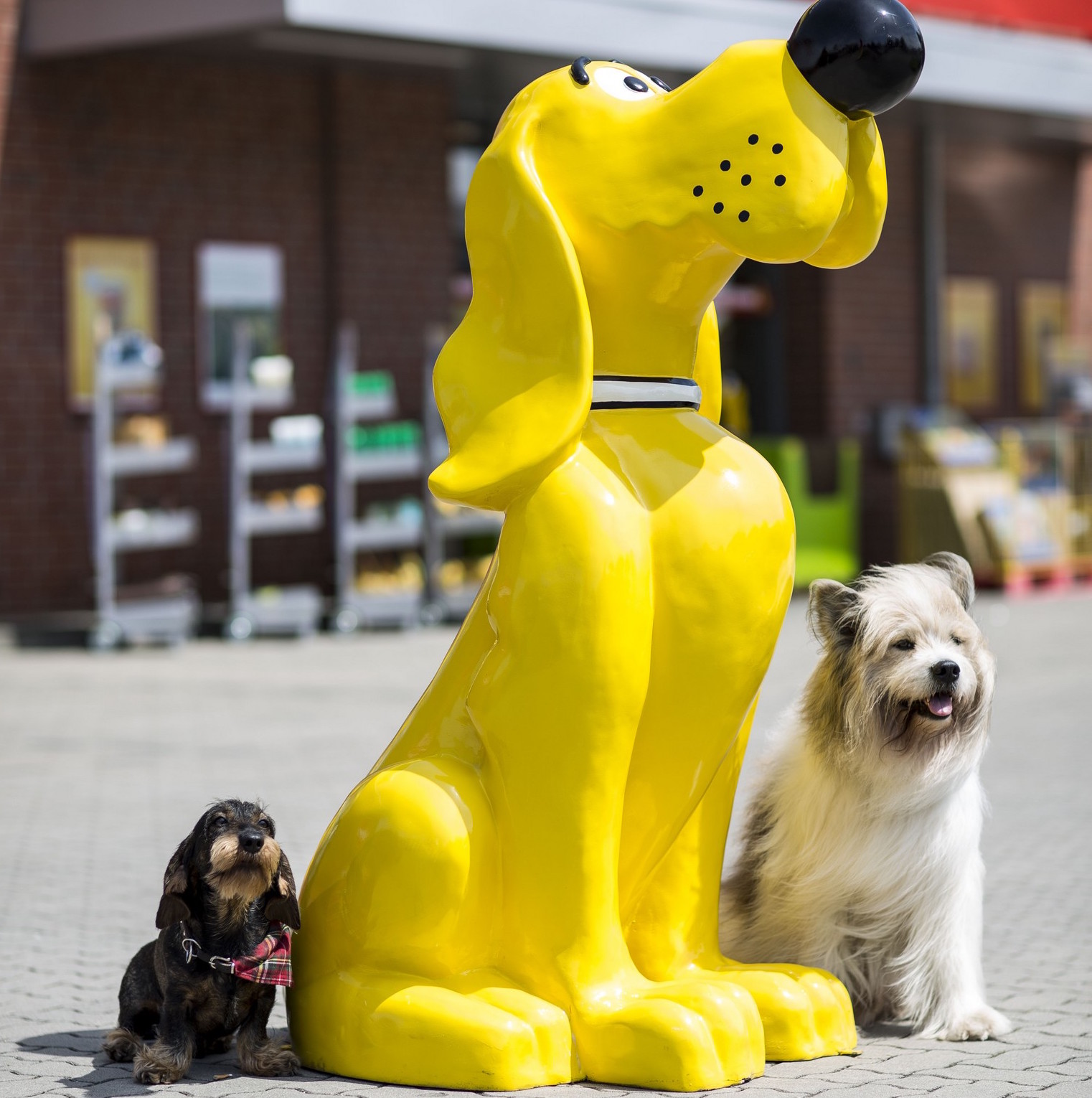 Das Futterhaus__Neuer Standort in Berlin-Biesdorf