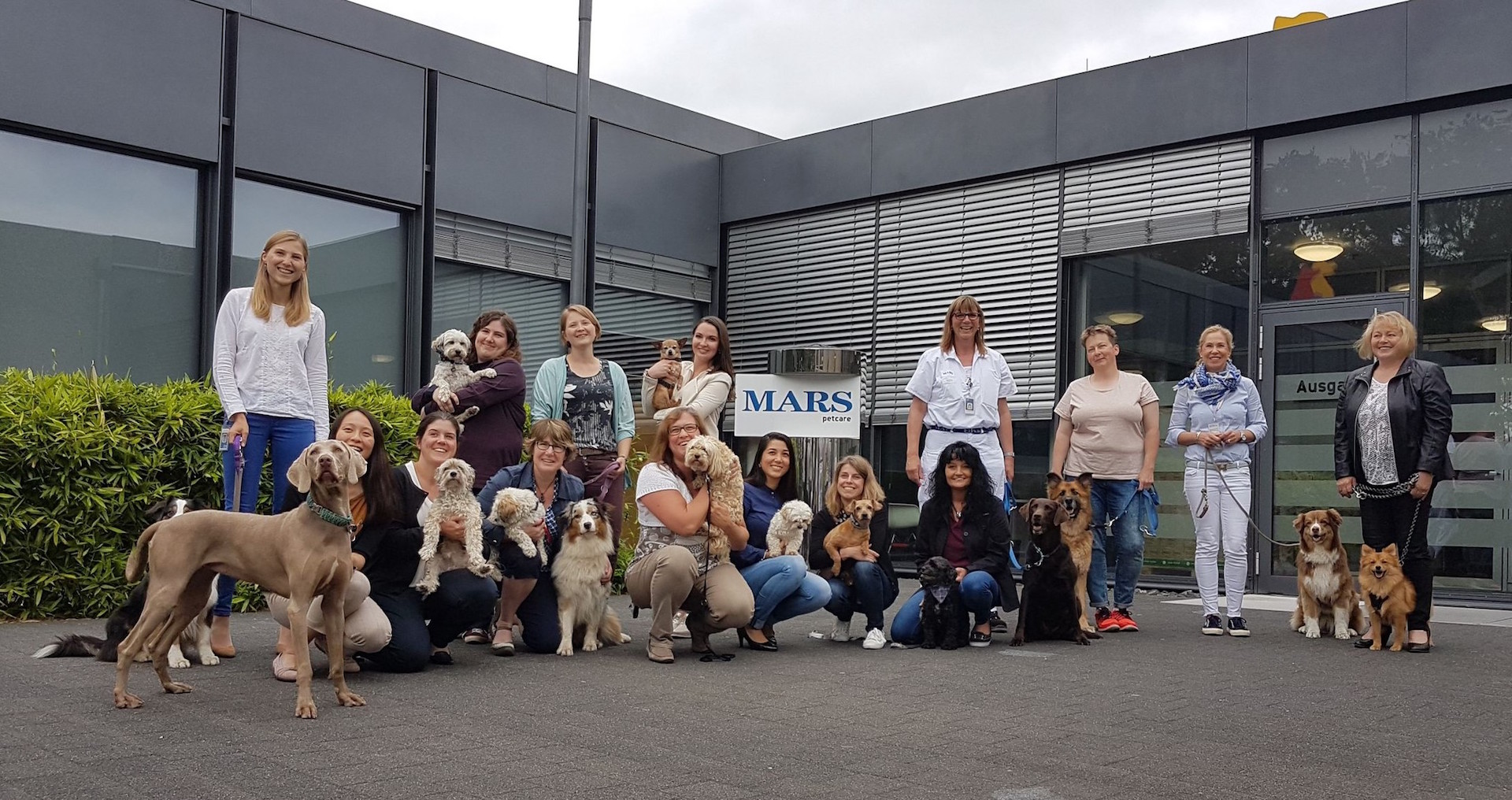 Mars__Initiative für Bürohunde