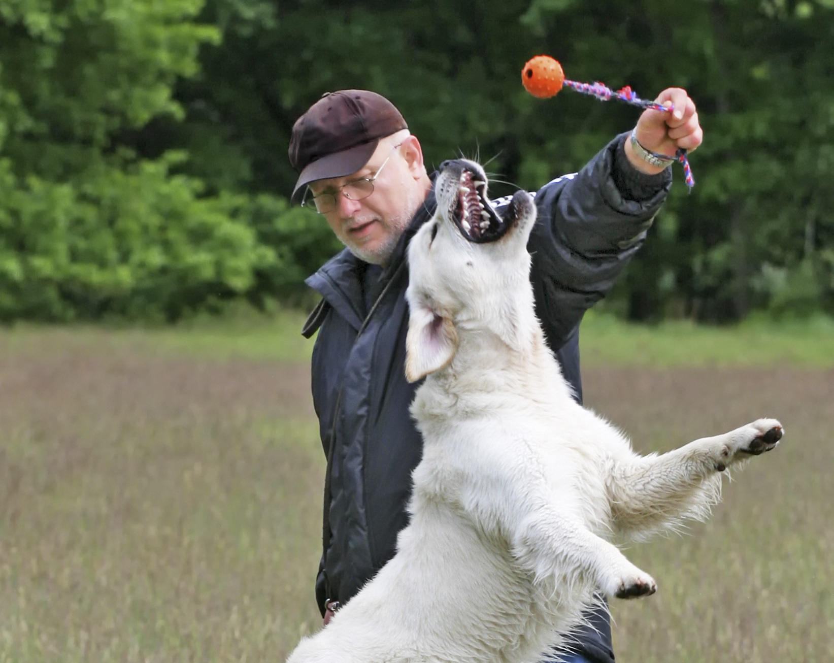Welthundetag__Zeit für ein großes Dankeschön
