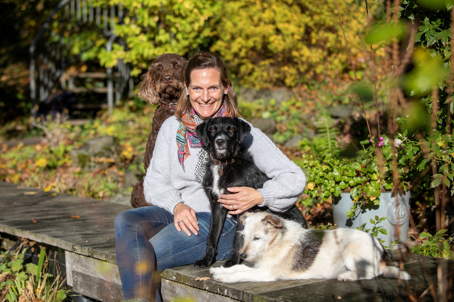 Hunde erziehen__Immer mit der Ruhe