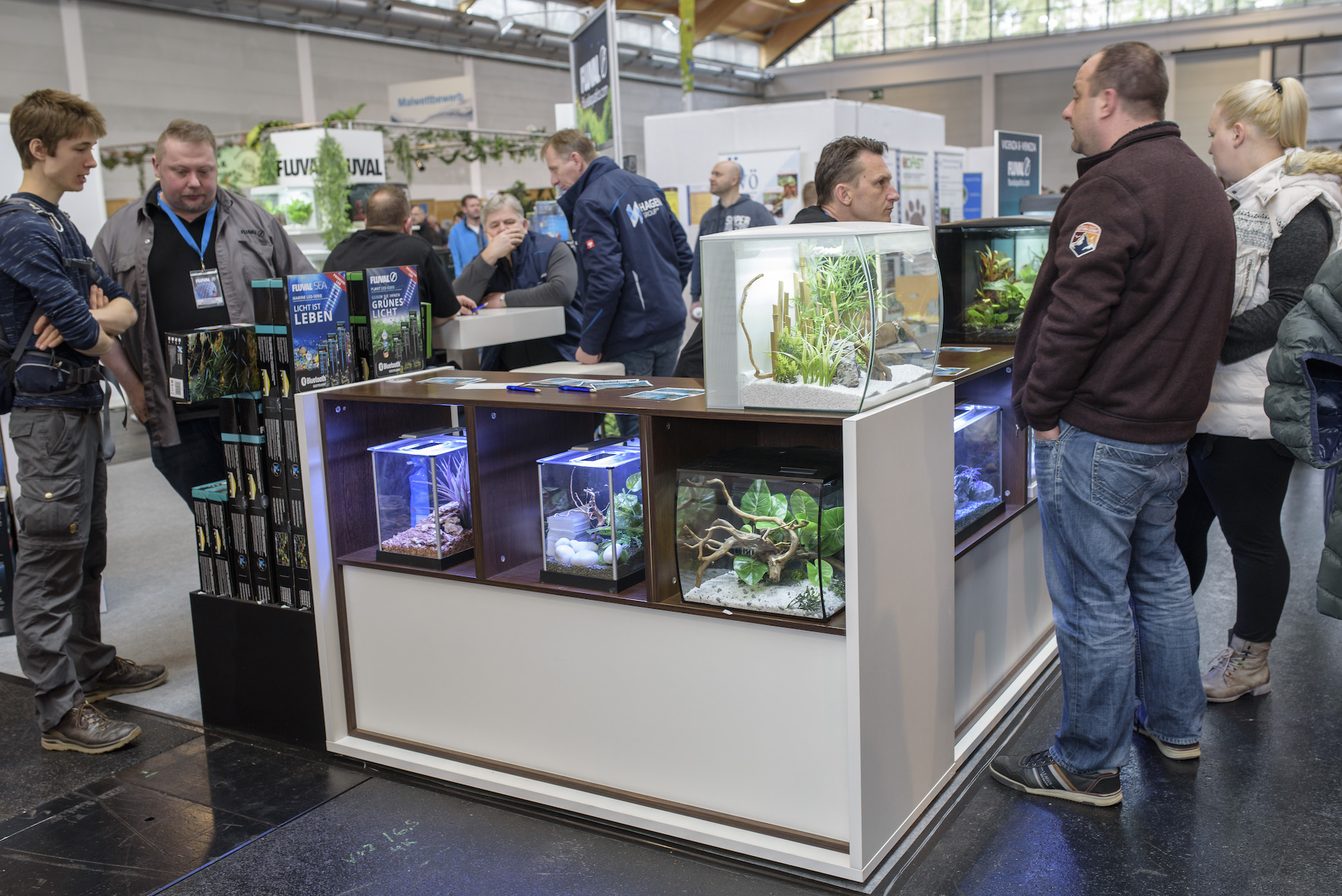 Aqua-Fisch Friedrichshafen__Bereit zum Neustart